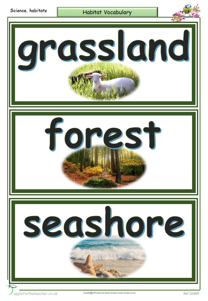 Habitat Vocabulary Display Cards | Apple for the Teacher