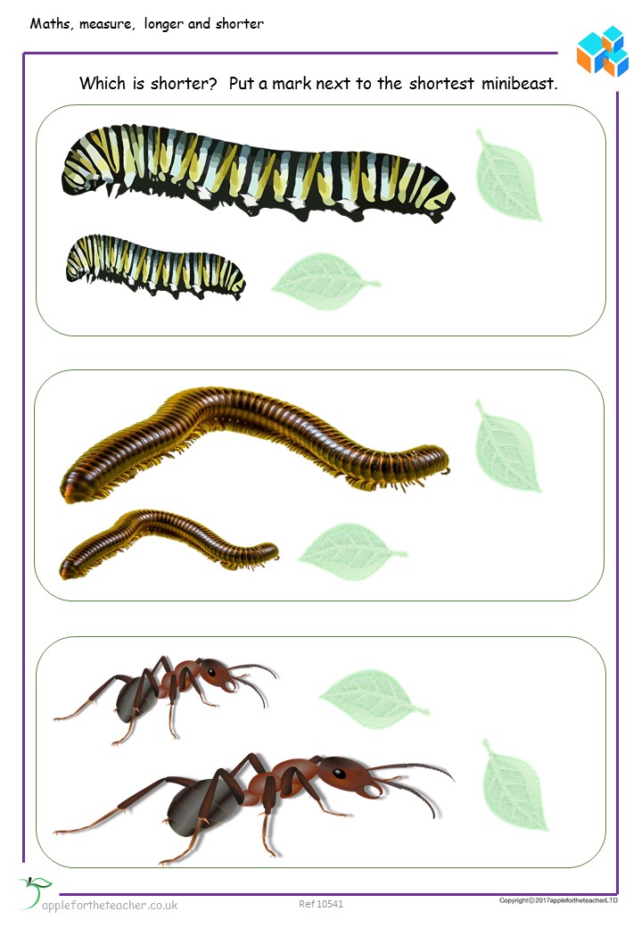 Longer Shorter Maths | Measure | Apple for the Teacher